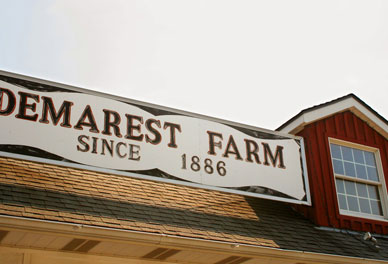 Demarest Real Estate & Homes - NJLux Real Estate